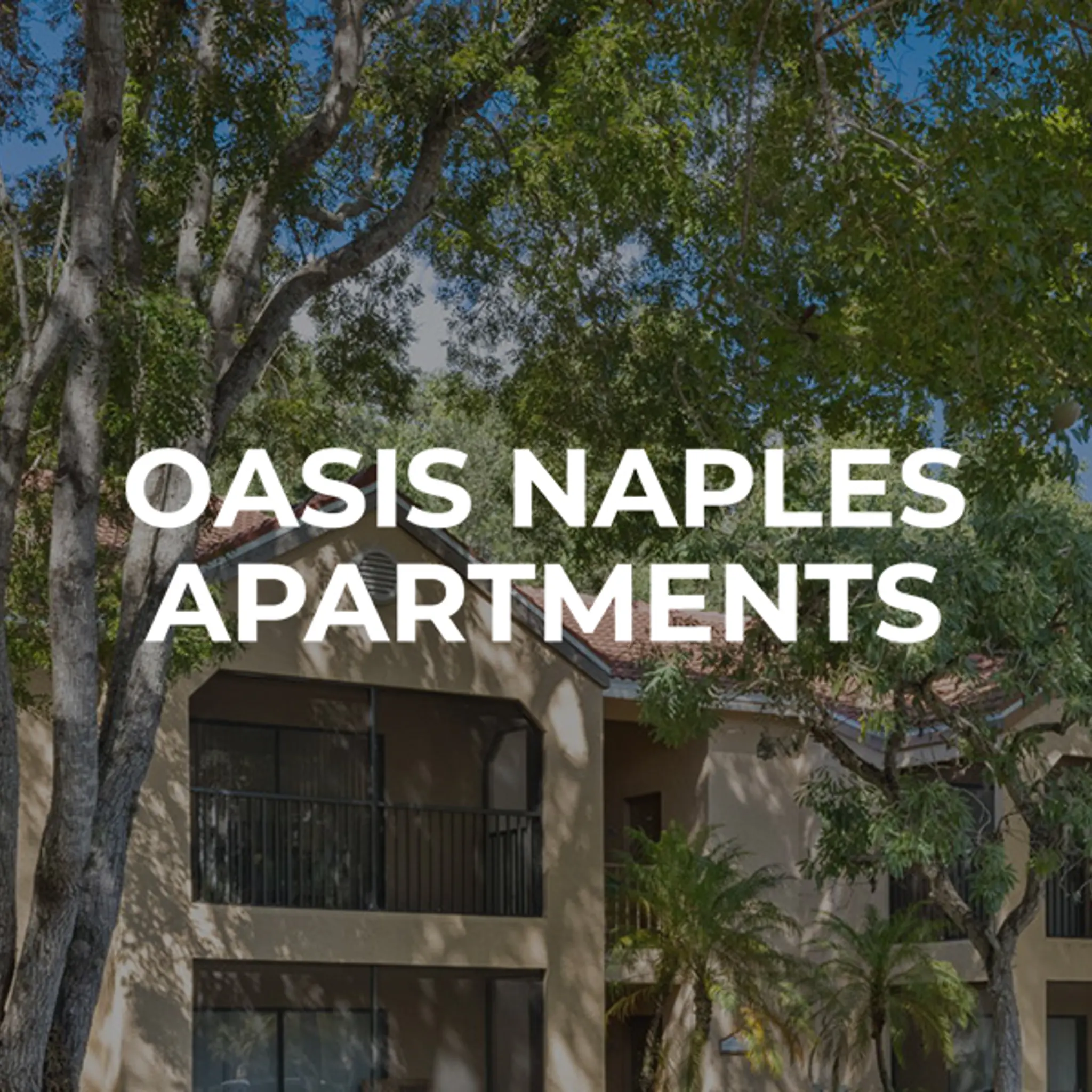 Home | Oasis Naples